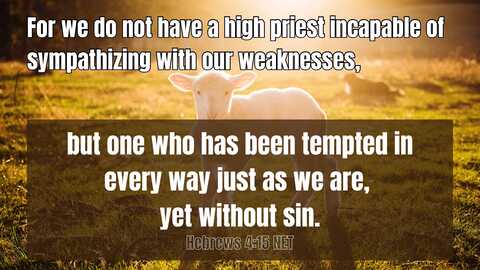 All Verses - Verse of the Day